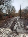 Лесничество (Republic of Mordovia, Ruzaevskiy District, selo Shishkeyevo), orman işleri  Mordovya'dan