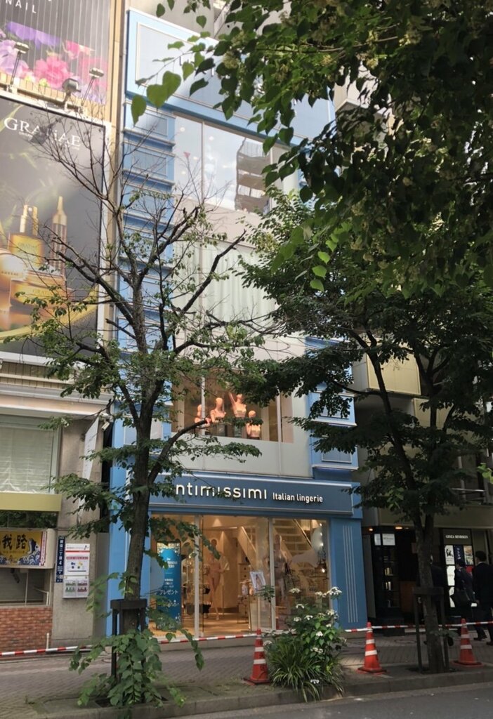 Giyim mağazası Intimissimi, Tokyo, foto