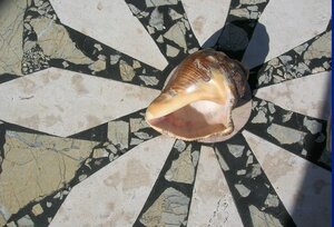 Fitness kulüpleri Scuola Yoga Savitri, , foto