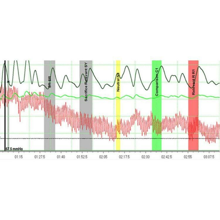 Kültür ve eğlence parkları A. S. E Poligrafía S. A. S., Bucaramanga, foto