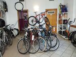 Bici & Cyclette (Viale Campari No:1, Pavia), bisiklet mağazaları  Pavia'dan