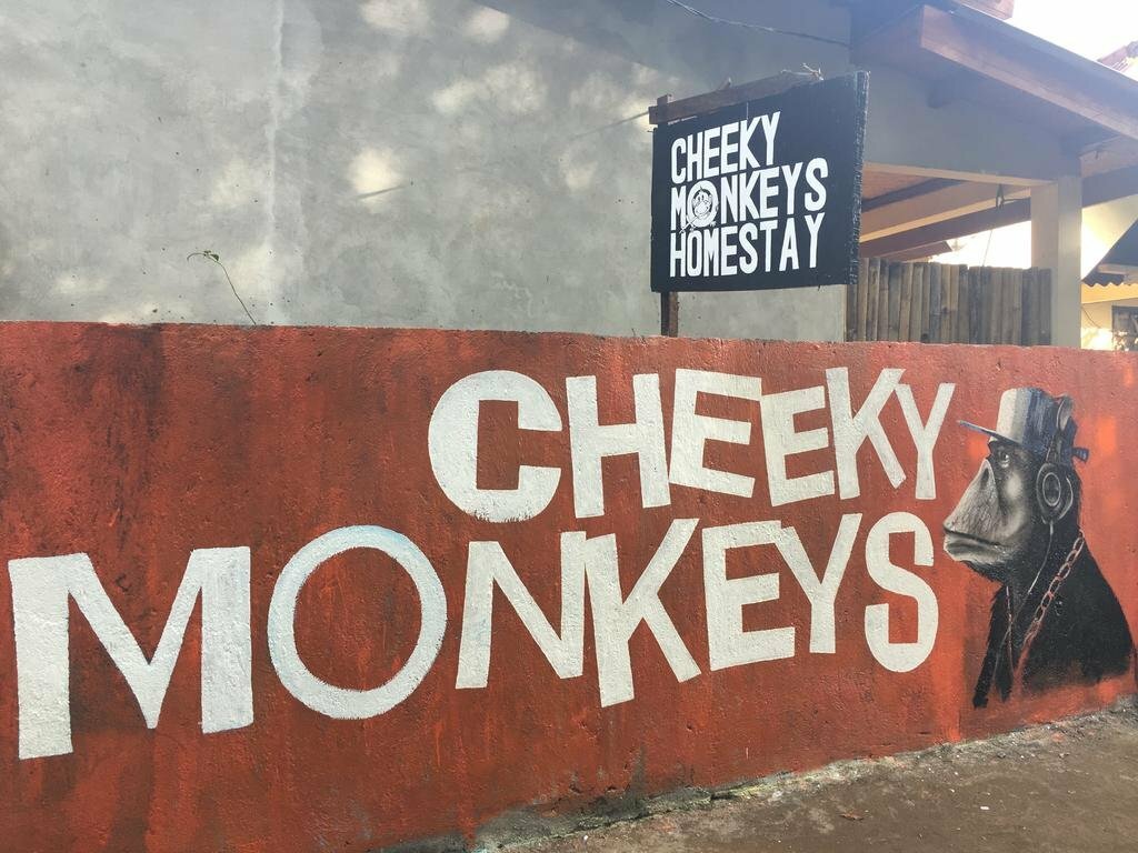 Otel Cheeky Monkeys, , foto