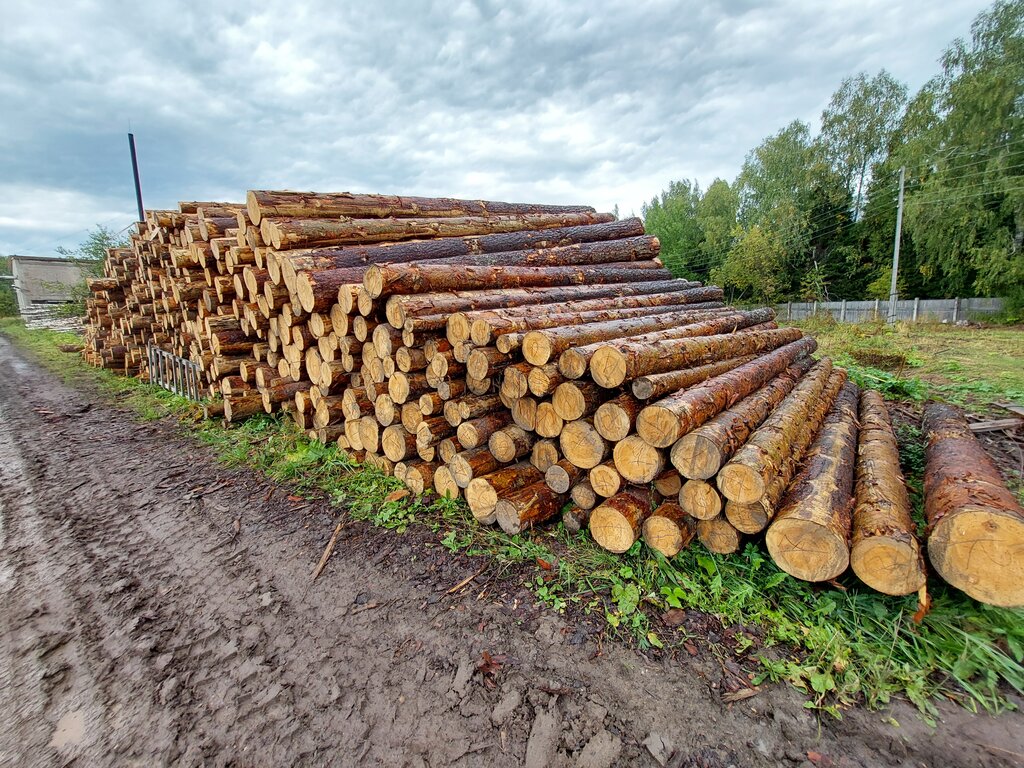 Prefabrik binalar Pilovochnik43, Kazan, foto