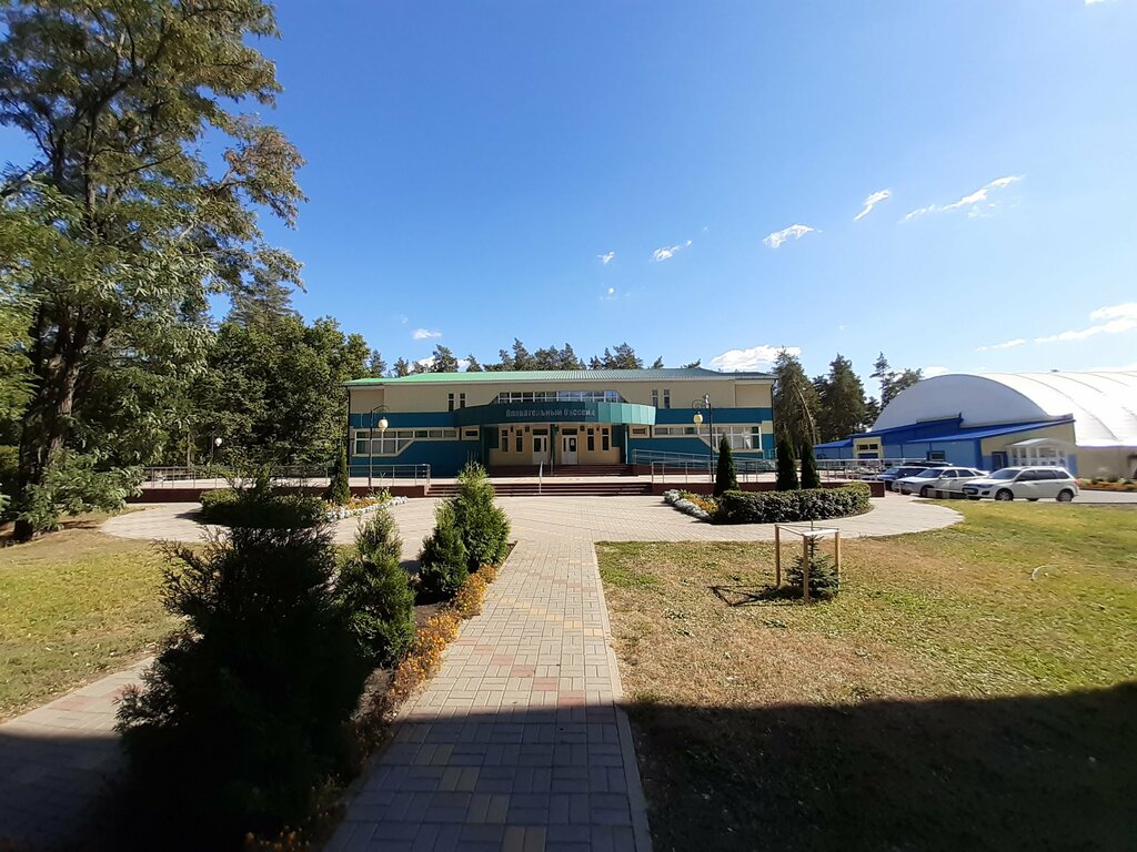 Yüzme havuzları Бассейн, Voronejskaya oblastı, foto