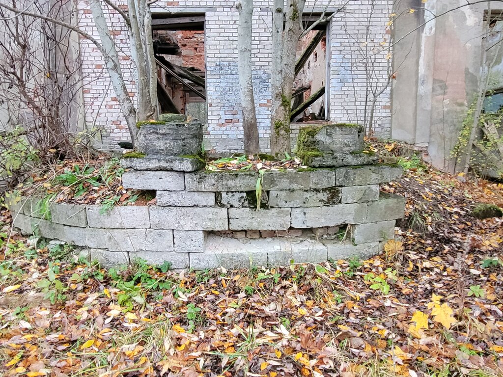 Turistik yerler Чайный павильон, Saint‑Petersburg ve Leningradskaya oblastı, foto