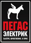 Пегас Инжиниринг (Nevskiy Avenue No:131), arıza hizmetleri  Saint‑Petersburg'dan