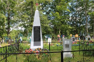 Братская могила с обелиском заживо сожженным жителям с. Молодьково (Bryansk Region, Mglinskiy District, Krasnokosarovskoye selskoye poseleniye, selo Molodkovo, Tsentralnaya ulitsa), anıt, heykel  Brianskaya oblastından