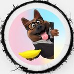 Proffidog.by (Prygaradnaja Street No:20), köpek hizmeti  Minsk'ten