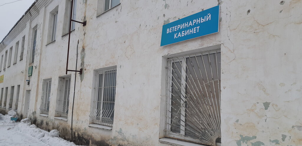 Veteriner klinikleri Veterinary office of Dr. Matveev, Aşa, foto