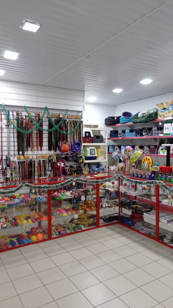 Petshop Zoo Zhivoi Mir, Aktav, foto