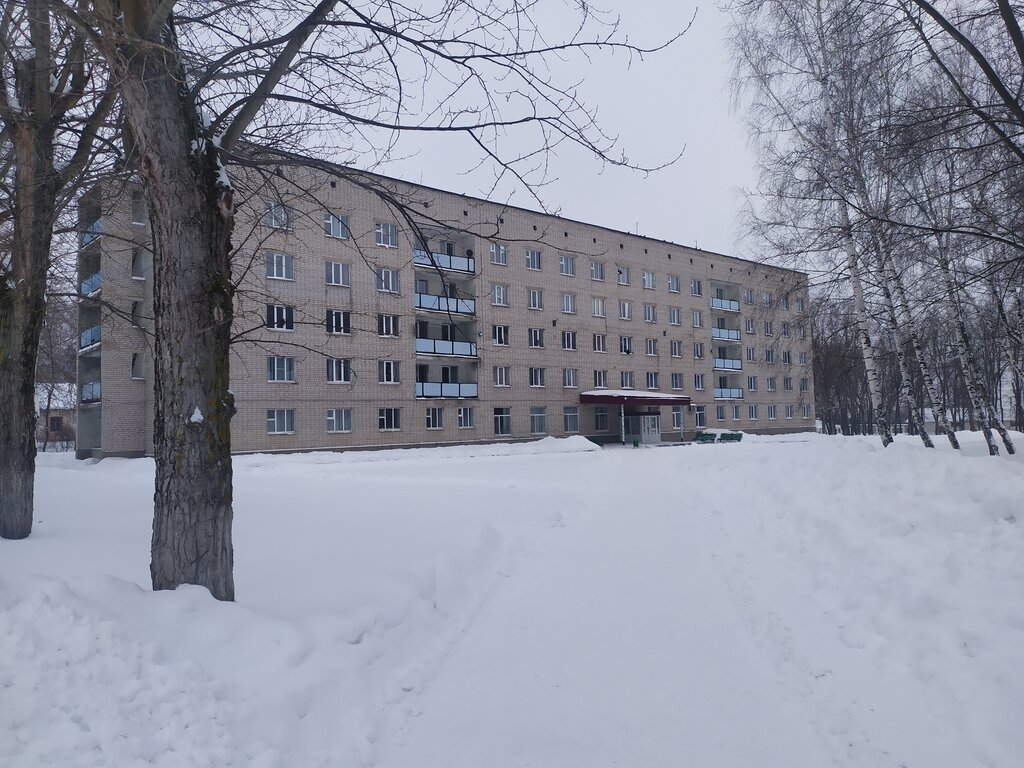 Yurtlar Общежитие № 2, Kirsanov, foto