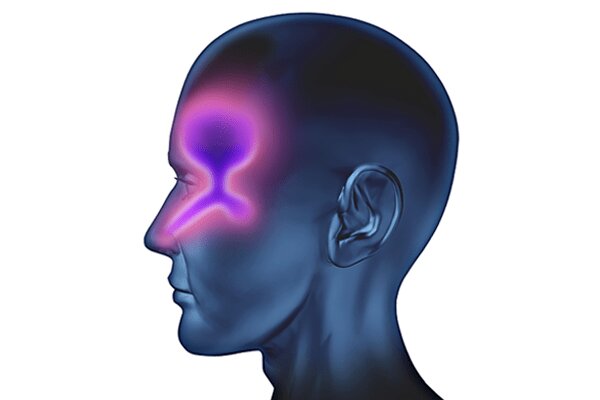 Plastik cerrahi klinikleri Mid State Ent - Gallatin, Gallatin, foto