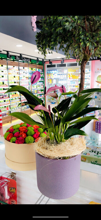 Eczaneler Başak Eczanesi, Çayırova, foto