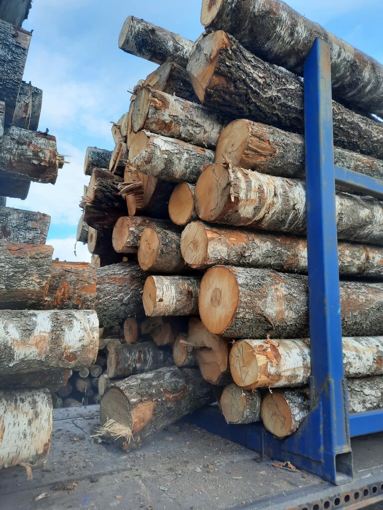 Kerestecilik, ağaç satışı ИП Спитлер Александр Александрович, Brianskaya oblastı, foto