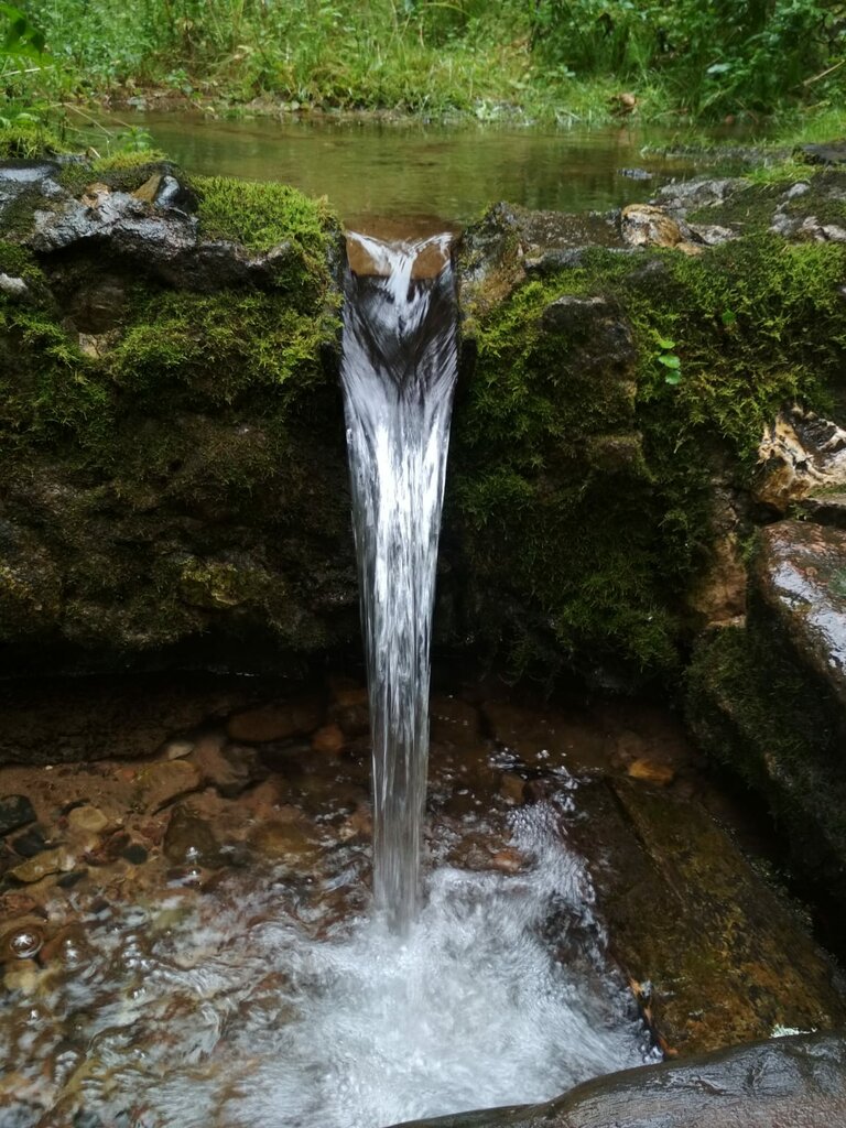 Pınar, çay Соколовские ключи, Novgorodskaya oblastı, foto