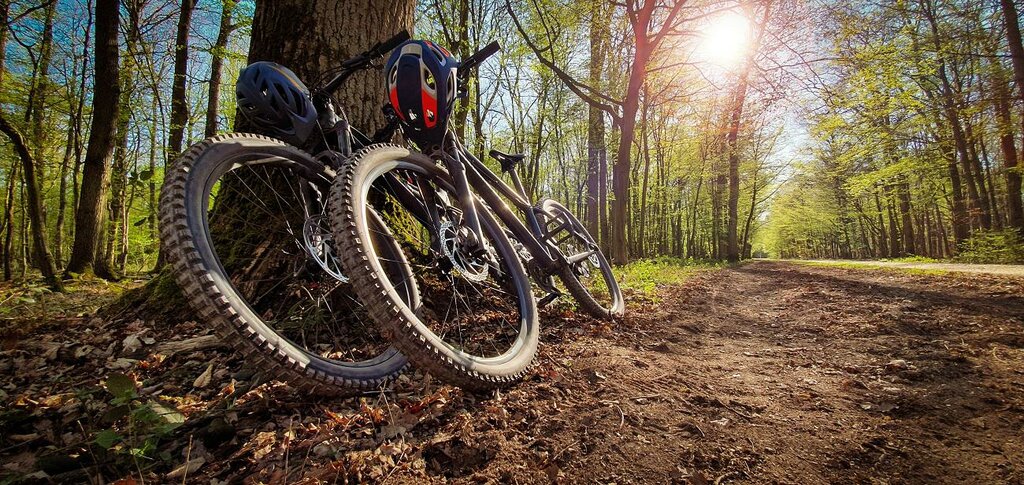 Bisiklet mağazaları Fahrrad Dresel - Fahrradladen und Werkstatt, Bavyera, foto