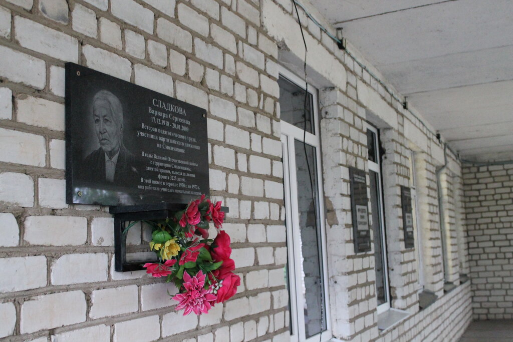 Anıt levhası, anıt taş Герою Советского Союза Ефиму Борисовичу Фрадкову, Demidov, foto