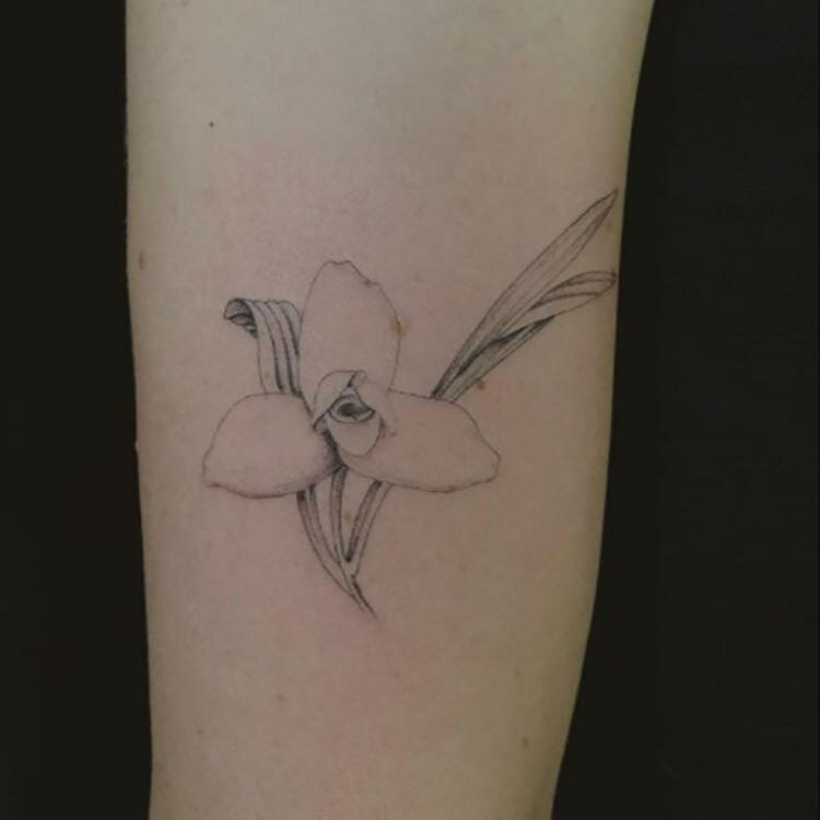 Kiralama noktası Inkside Antigua Tattoo Studio, Dünya, foto