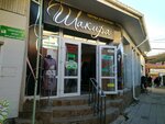 Шакира (улица Пушкина No:37), giyim mağazası  Simferopol'dan (Akmescit'ten)