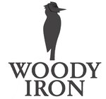 Woody Iron (Kuybysheva Street No:16А), merdiven ve korkuluklar  Vladimir'den