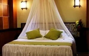 Old San Juan Hotel (Calabarzon, Batangas, San Juan, Javier Street), otel