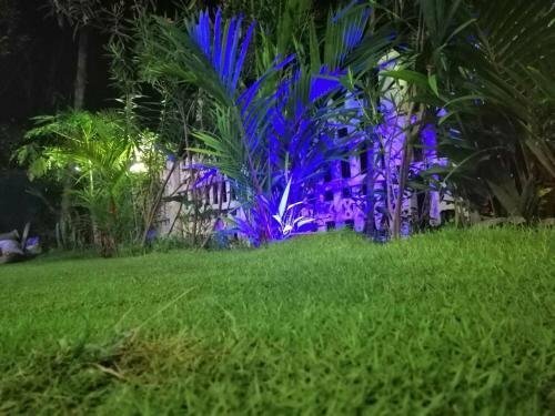 Otel New Blue Home, , foto