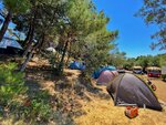 Dolmuş Camping (Dalyan Köyü, Atatürk Cad., No:67, Ezine, Çanakkale), kamp alanları  Ezine'den