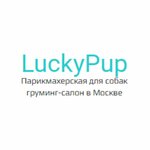 Luckypup (Konstantinova Street No:11А), evcil hayvan kuaförleri  Moskova'dan