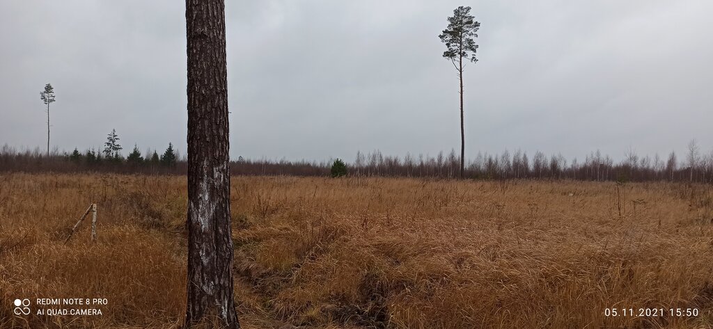 Dekorasyon ve süsleme, onur panosu Геоглиф в виде атома, Kalujskaya oblastı, foto
