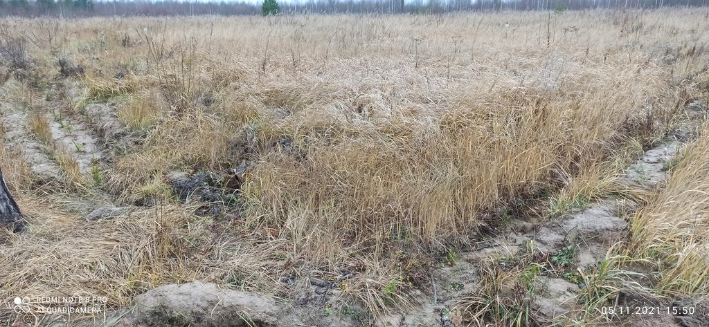 Dekorasyon ve süsleme, onur panosu Геоглиф в виде атома, Kalujskaya oblastı, foto
