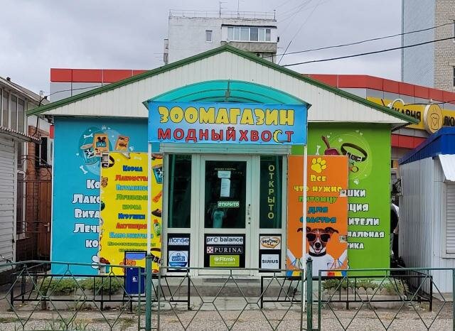 Petshop Modniy Hvost, Budennovsk, foto