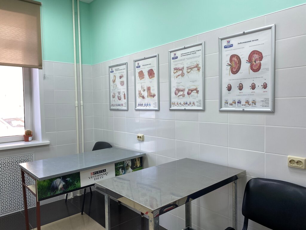 Veteriner klinikleri Айболит, Krasnoyarsk, foto