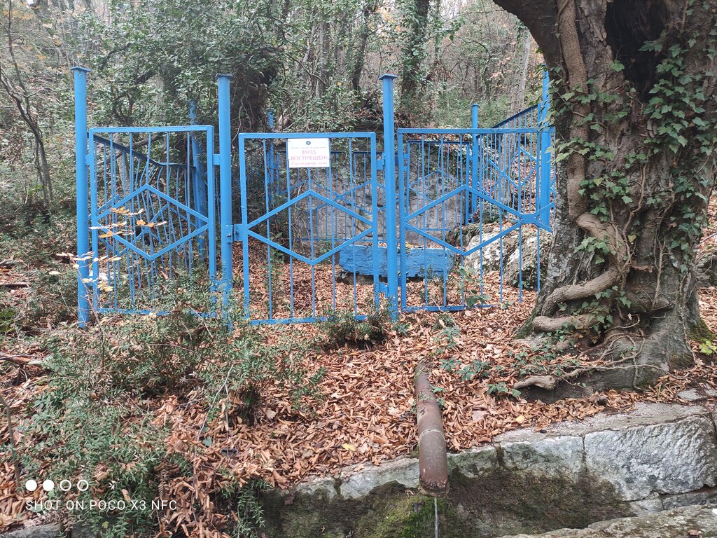 Pınar, çay Spring, stream, Kırım Cumhuriyeti, foto