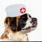 Veterinary Clinic (ulitsa 64-y Armii No:135А), veteriner klinikleri  Volgograd'dan