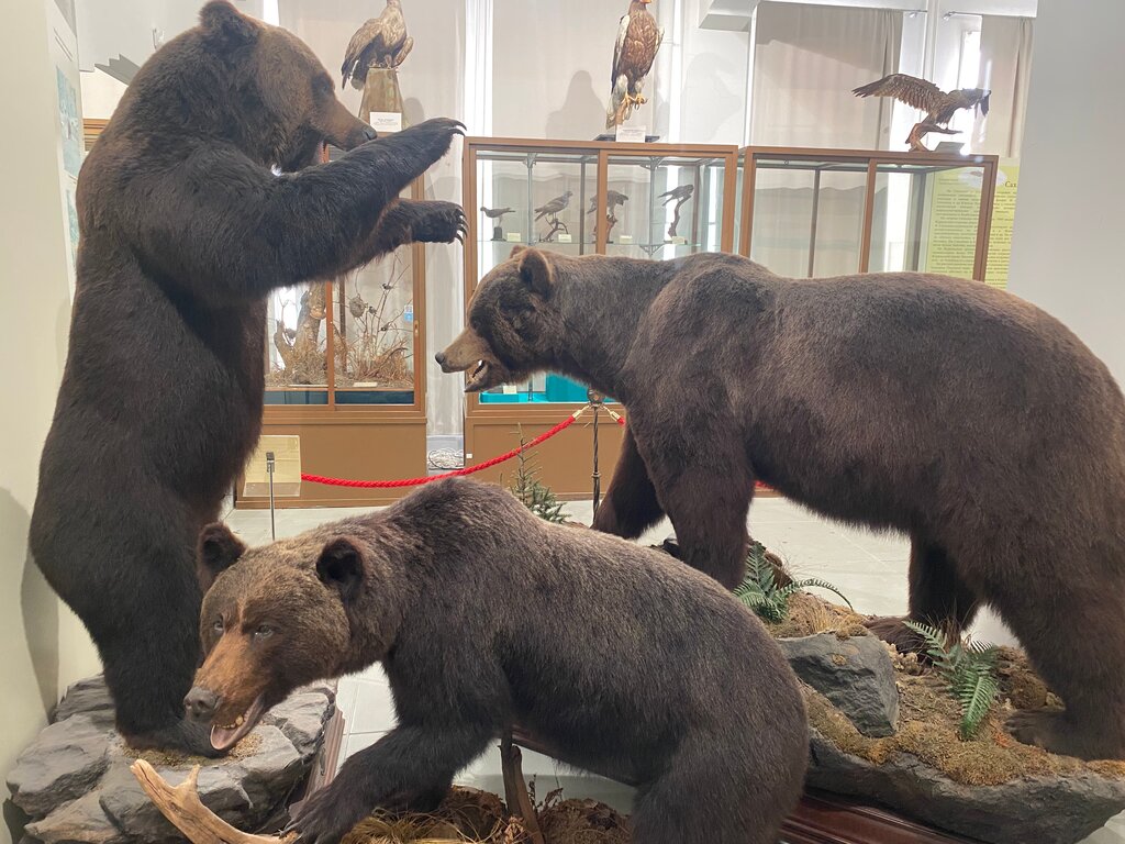 Müzeler ve sanat galerileri Краеведческий музей имени Ф. И. Пыжьянова, Sahalin Bölgesi, foto