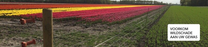Banyo ve klozet mağazaları Solarfence, Drenthe, foto