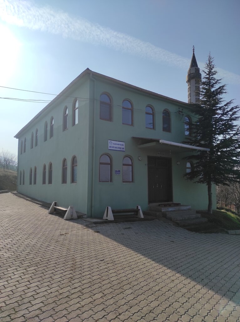 Cami İçme Köyü Hafız Efendi Cami, Elazığ, foto