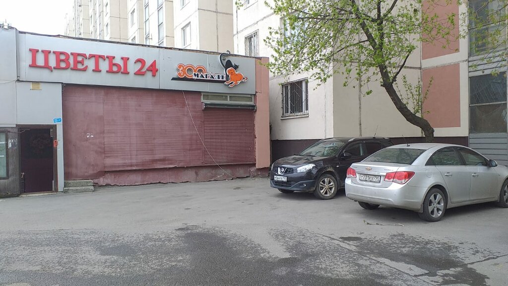 Petshop Зоомагазин, Moskova, foto