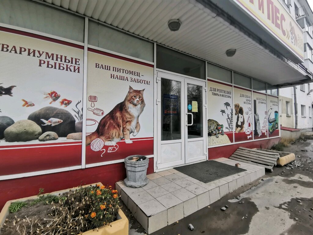 Petshop Кот и пёс, Arhangelsk, foto