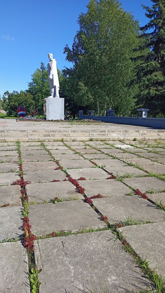 Anıt, heykel Котлашанам, погибшим в Великую Отечественную войну, Kotlas, foto