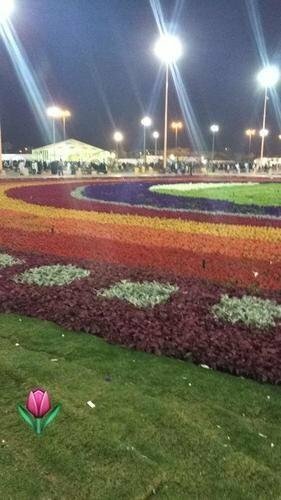 Daireler Almuhaidb Khanshalila, Riyad, foto