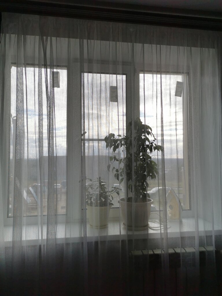Perde ve korniş üreticileri Шторы, Viazniki, foto