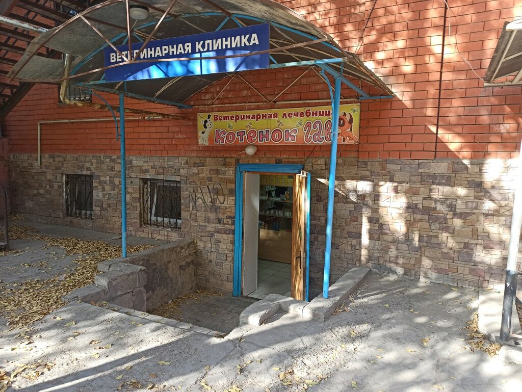Veteriner klinikleri Котенок Гав, лечебница, Astrahan, foto