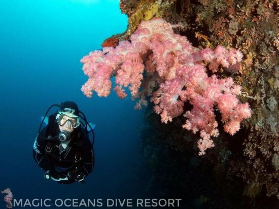 Otel Magic Oceans Dive Resort, Bohol, foto