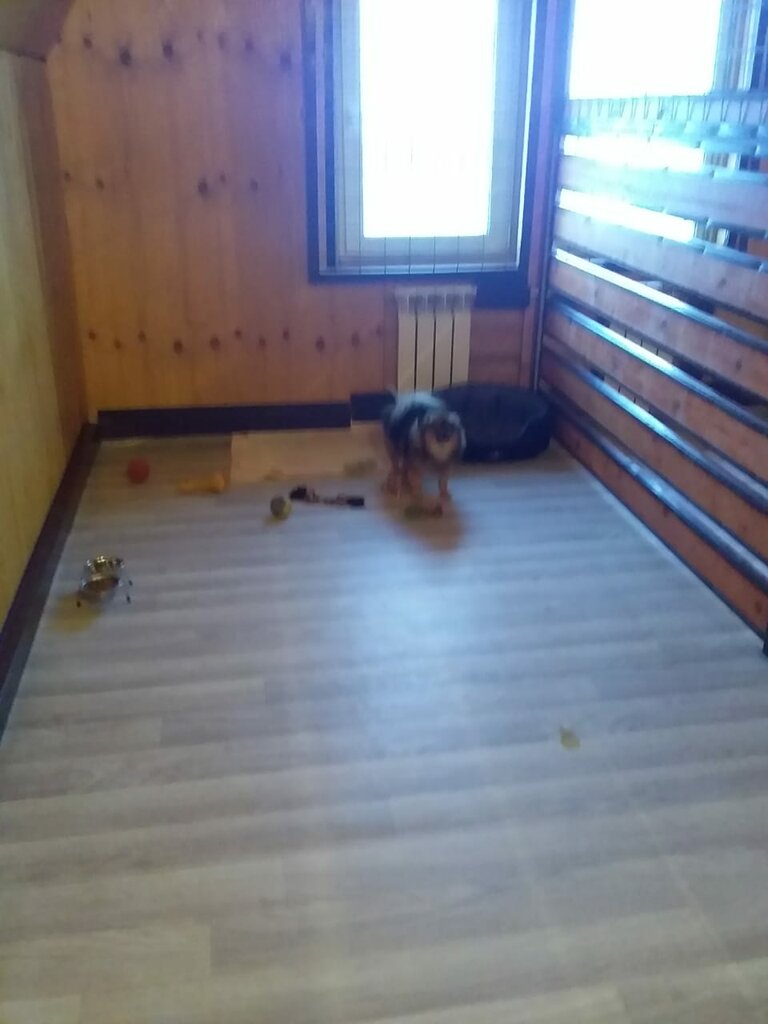 Pet otel В гостях у Паши, Saha Cumhuriyeti (Yakutistan), foto