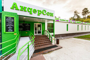 AnderSon (Startovaya Street No:9к2), kafe  Moskova'dan