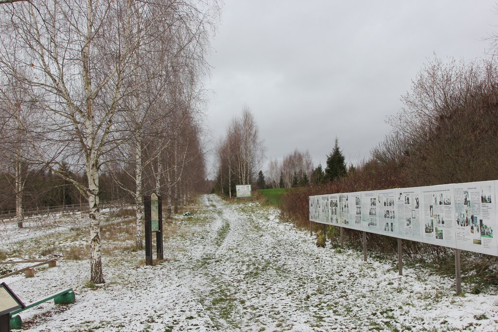 Doğa Въездная Берёзовая аллея, Moskova ve Moskovskaya oblastı, foto