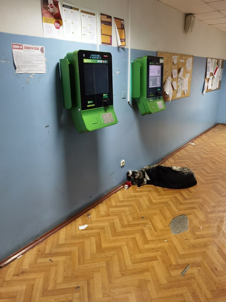 Banka Sberbank, Arhangelskaya oblastı, foto