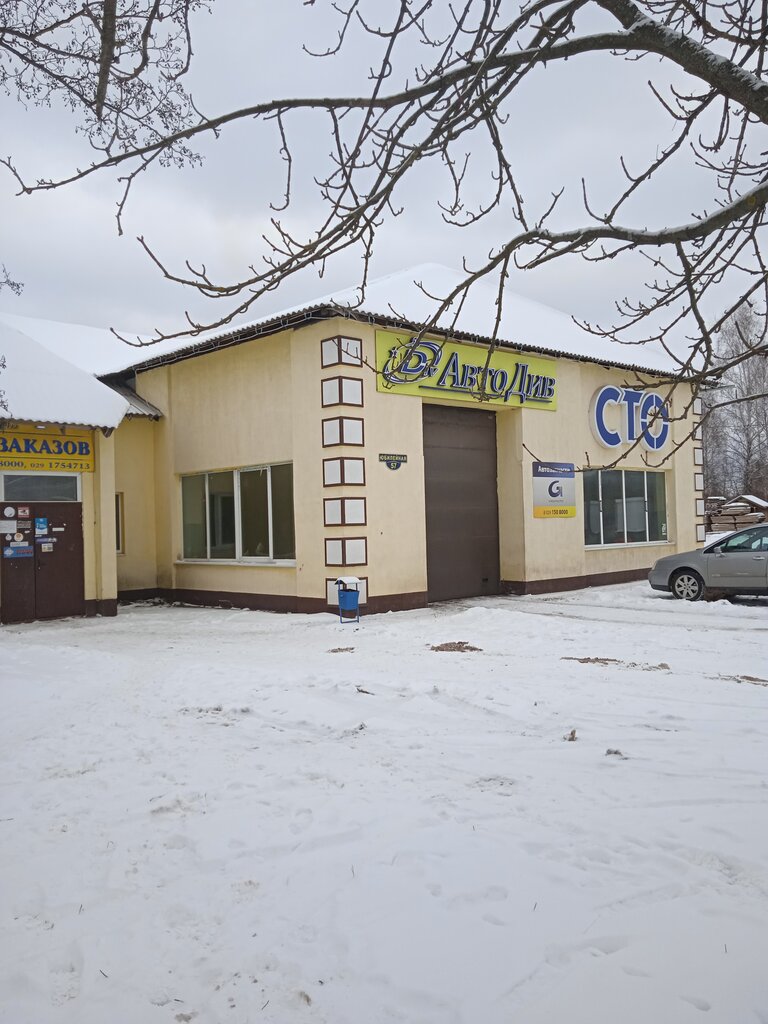 Oto yıkama AutoDiv, Asipovichy, foto