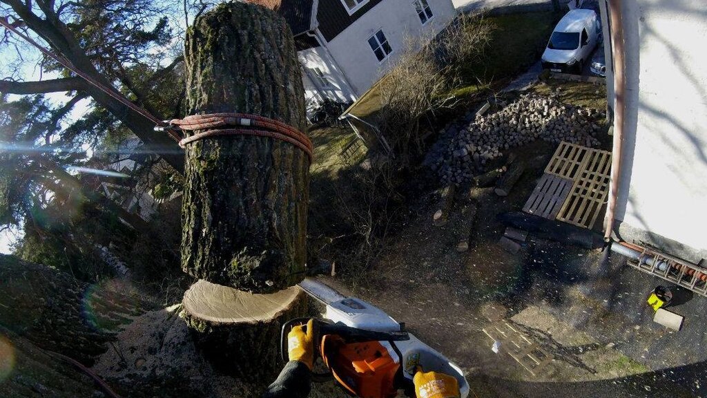 Peyzaj tasarımı Ranglo Axe Ab, Uppsala Vilayeti, foto
